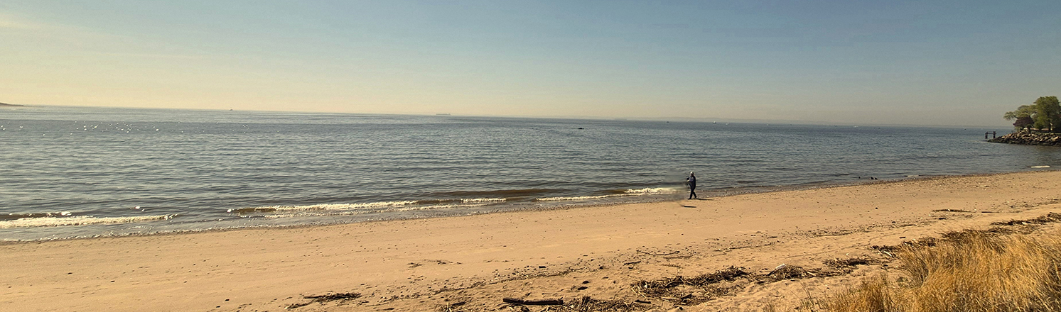 Crescent Beach Park Hiking Trails : NYC Parks