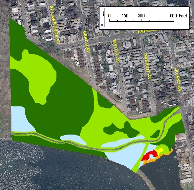 Soundview Park Vegetation Mapping – Vegetation : Wetlands of the Bronx ...
