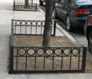 Parks’ Planting Process : NYC Parks