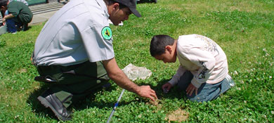 Go Explore : NYC Parks