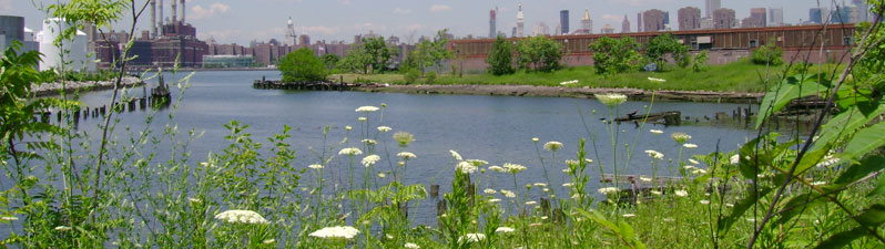 Vote for the Future of Bushwick Inlet Park : NYC Parks