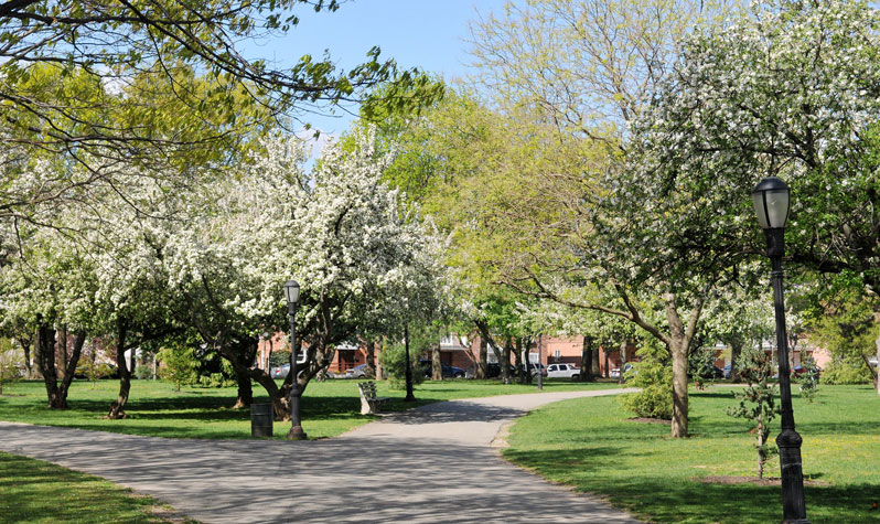 Visit Queens : NYC Parks