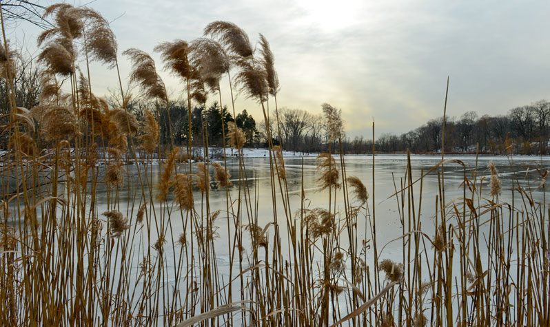 Parks Photos of the Year: 2014 : NYC Parks