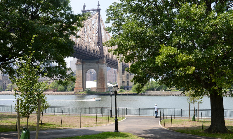 Parks Photos of the Year: 2014 : NYC Parks
