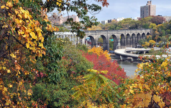 Edgar Allan Poe and the Historic Poe Park : NYC Parks