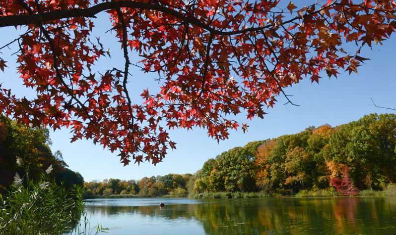 Best Lakeside Views in NYC Parks : NYC Parks