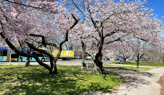 McGuire Fields : NYC Parks