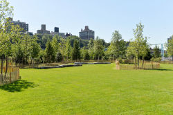 Brooklyn Bridge Park Events - Ice Skating at Roebling Rink : NYC Parks