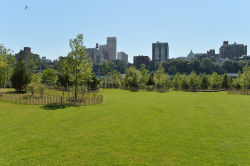 Brooklyn Bridge Park Events - Ice Skating at Roebling Rink : NYC Parks