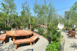 Brooklyn Bridge Park Events - Ice Skating at Roebling Rink : NYC Parks