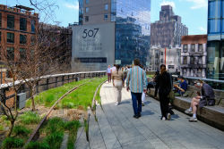 The High Line Highlights : NYC Parks