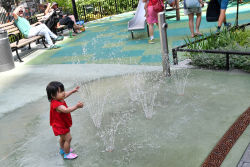 Chelsea Green Highlights : NYC Parks