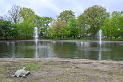 Bowne Park Highlights : NYC Parks