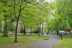 Bowne Park Highlights : NYC Parks