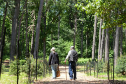 Forest Park : NYC Parks