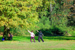 Kissena Park : NYC Parks