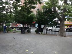 Dunningham Triangle Inspections : NYC Parks