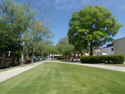Fresh Meadows Park : NYC Parks