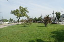 Broad Channel Veteran's Park Monuments : NYC Parks