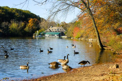 Clove Lakes Park : NYC Parks
