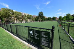 Rev. T. Wendell Foster Park and Recreation Center Outdoor Pools : NYC Parks