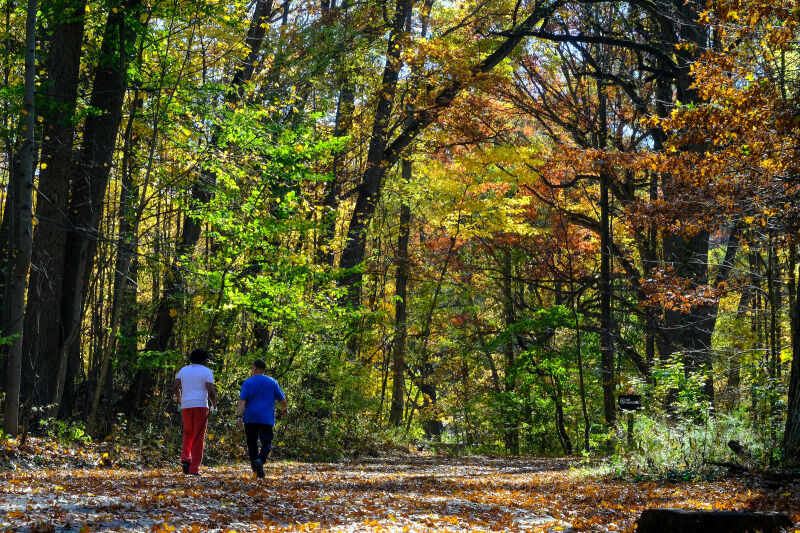 Van Cortlandt Park : NYC Parks