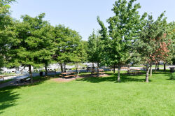 Barretto Point Park Outdoor Pools : NYC Parks