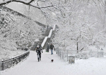 Riverside Park Snow Day : Photo Gallery : New York City Department of ...