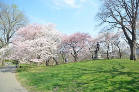 A View From Pilgrim Hill : Photo Gallery : New York City Department of ...