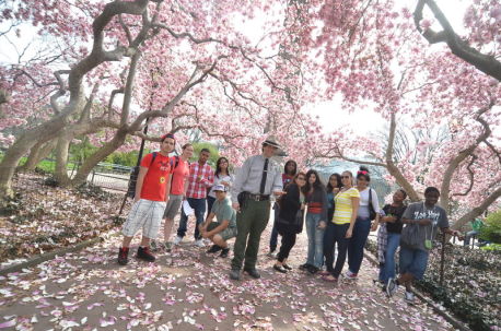 Cherry Trees and the Urban Park Rangers : Photo Gallery : New York City ...