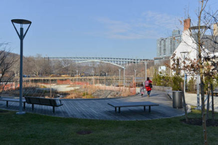 Muscota Marsh : Photo Gallery : New York City Department of Parks ...