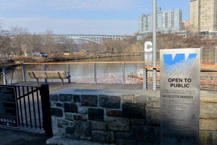 Muscota Marsh : Photo Gallery : New York City Department of Parks ...