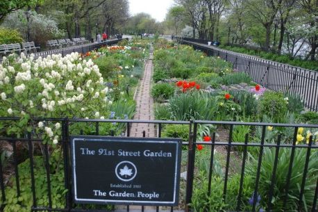 The 91st Street Garden : Photo Gallery : New York City Department of ...