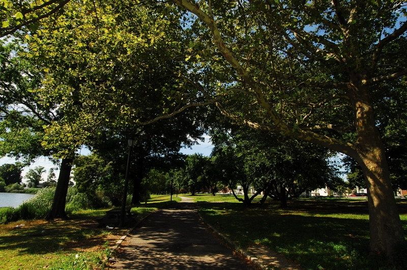 Baisley Pond Park : NYC Parks