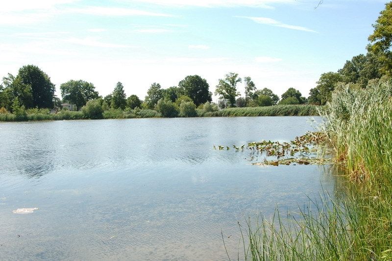 Baisley Pond Park : NYC Parks