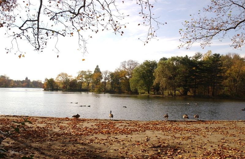 Prospect Park Images NYC Parks prospect-park-images-nyc-parks