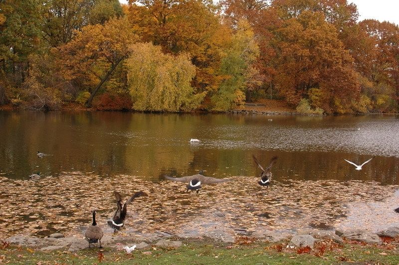 Van Cortlandt Park : NYC Parks