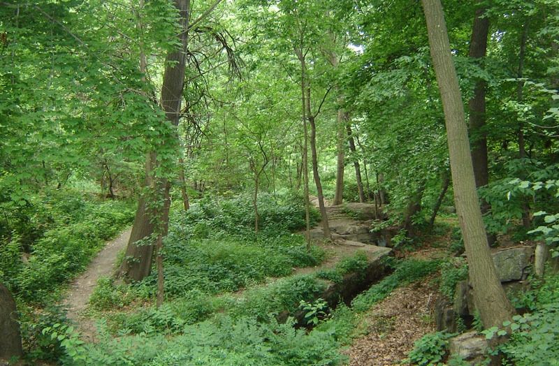 Seton Falls Park Images : NYC Parks