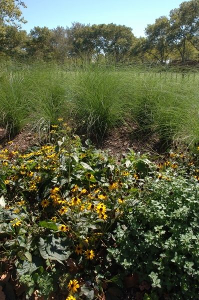 Thomas Jefferson Park Images : NYC Parks