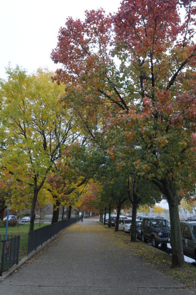 Ferry Point Park : NYC Parks