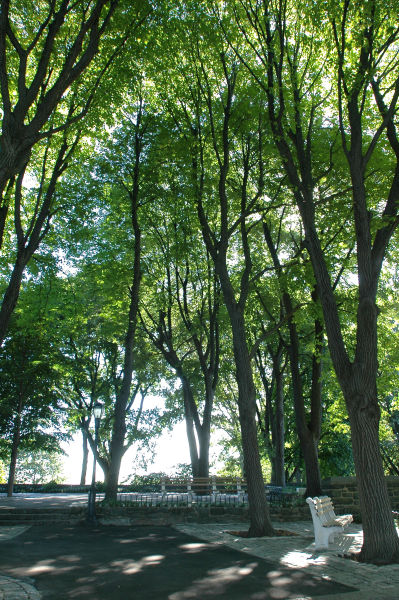 Fort Tryon Park : NYC Parks