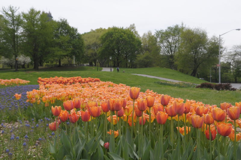Riverside Park Images : NYC Parks