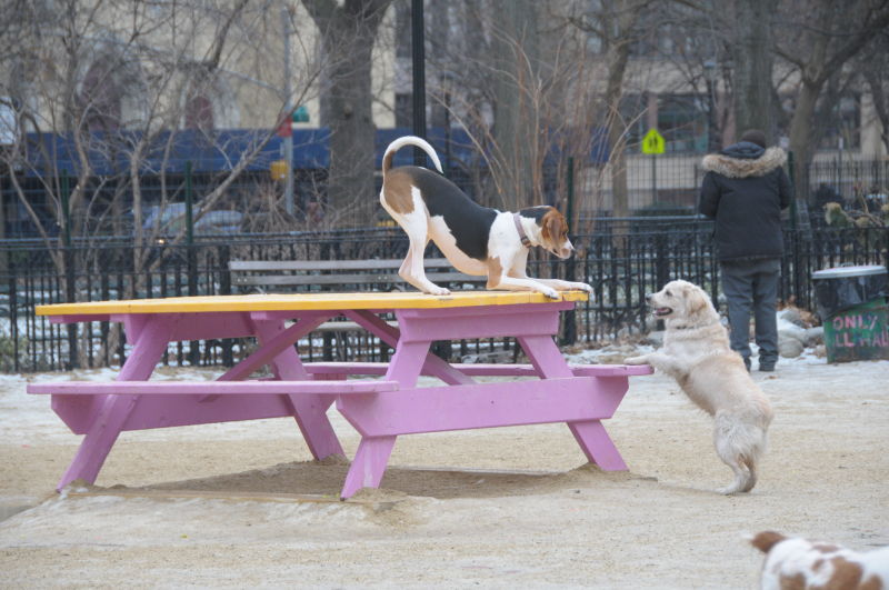 Tompkins Square Park Highlights : NYC Parks