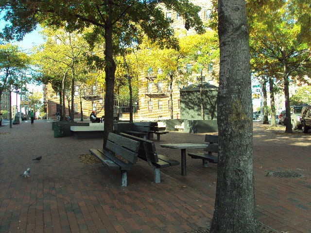 Bryant Triangle Inspections : NYC Parks