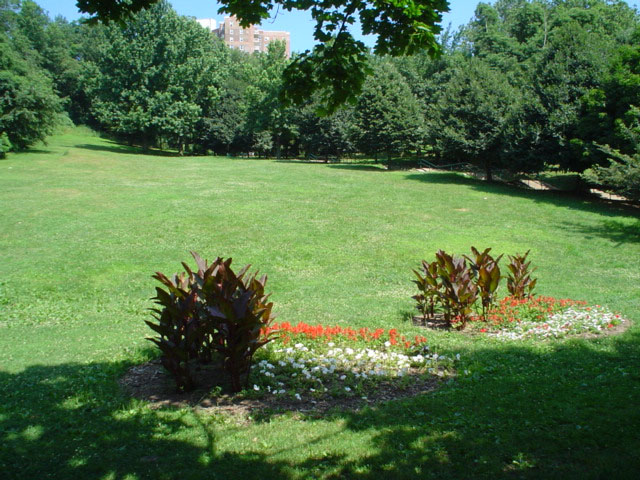 Ewen Park Playgrounds : NYC Parks