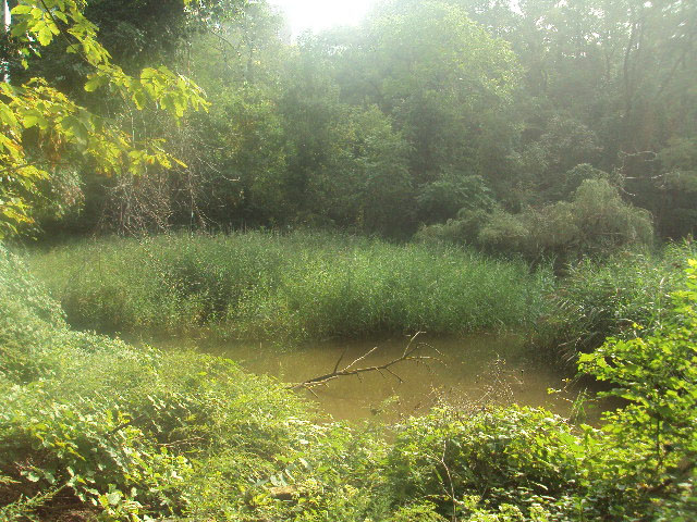 Spuyten Duyvil Shorefront Park : NYC Parks