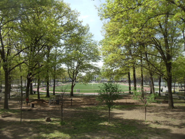Williamsbridge Oval Events - Kids in Motion: Williamsbridge Oval ...