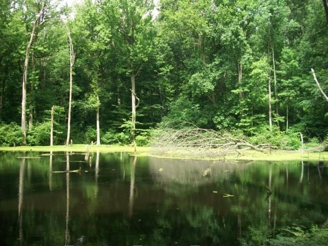 High Rock Park Facilities : NYC Parks
