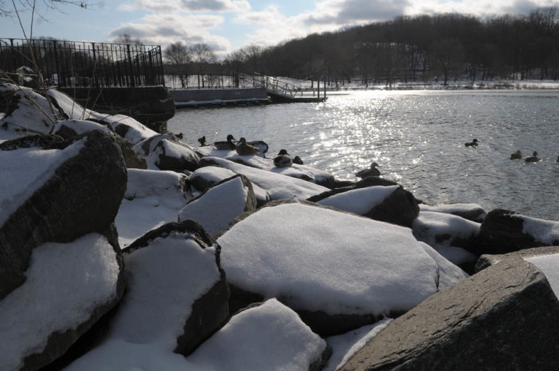 Inwood Hill Park Images : NYC Parks