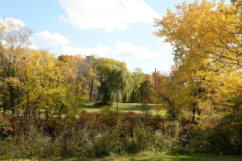 Starlight Park Highlights : NYC Parks